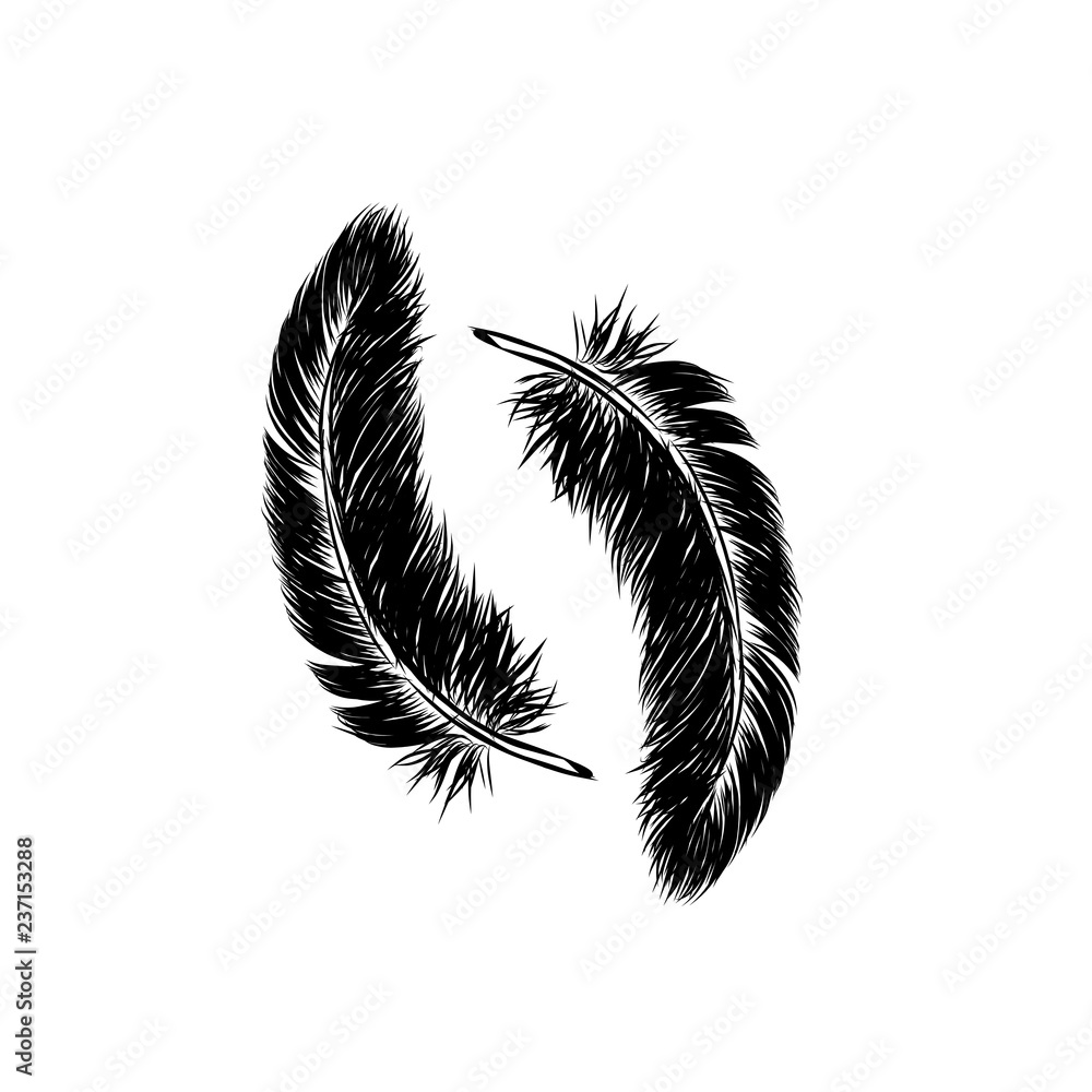 Vector hand drawn line art style feather for poster, banner, logo, icon ...