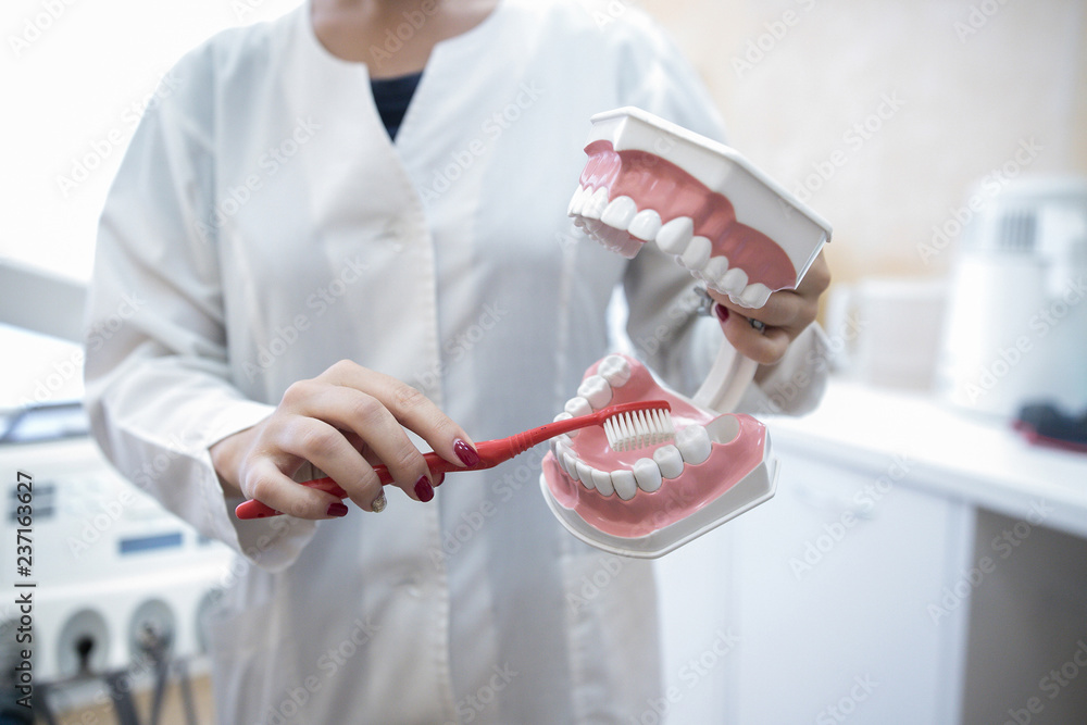 Big teeth dummy and tooth brush show how to properly brush your teeth ...