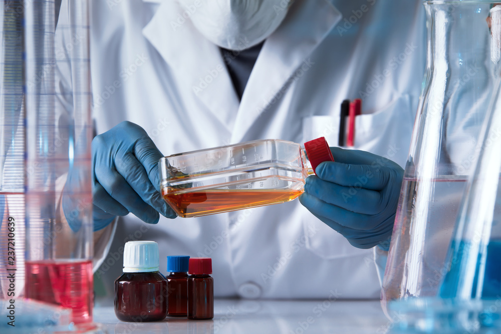 hands of lab technician holding tissue culture flask in the genetic ...