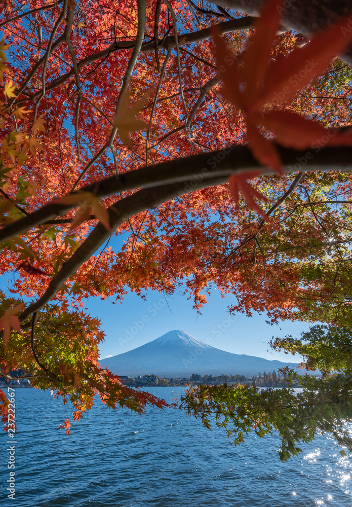 asia,autumn,autumn fuji,autumn japan,autumn tokyo,background,beautiful ...