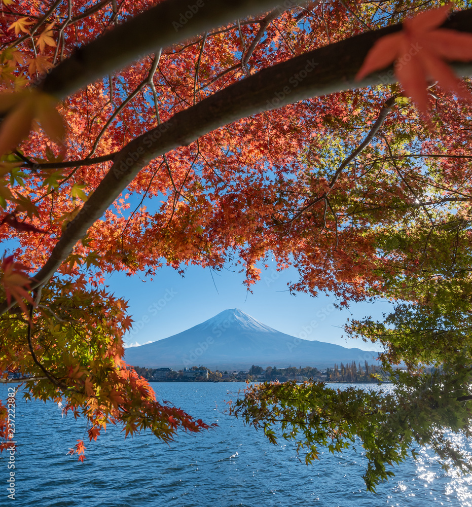 asia,autumn,autumn fuji,autumn japan,autumn tokyo,background,beautiful ...