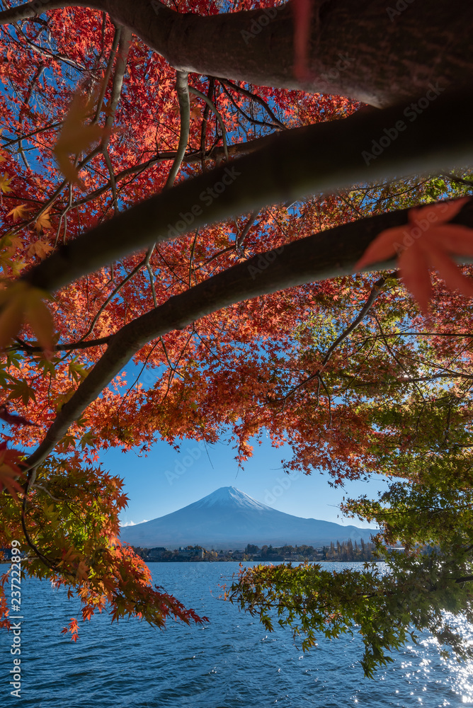 asia,autumn,autumn fuji,autumn japan,autumn tokyo,background,beautiful ...