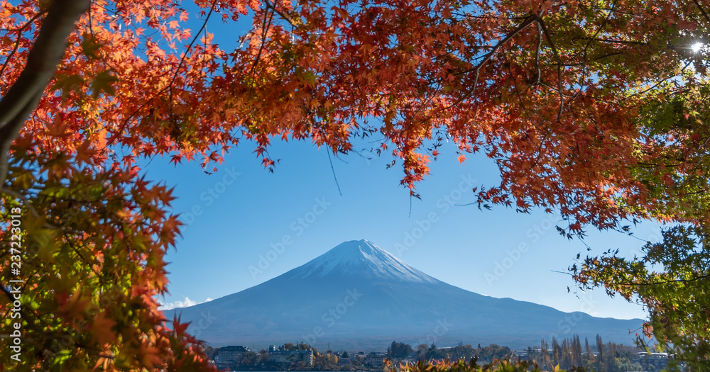 asia,autumn,autumn fuji,autumn japan,autumn tokyo,background,beautiful ...