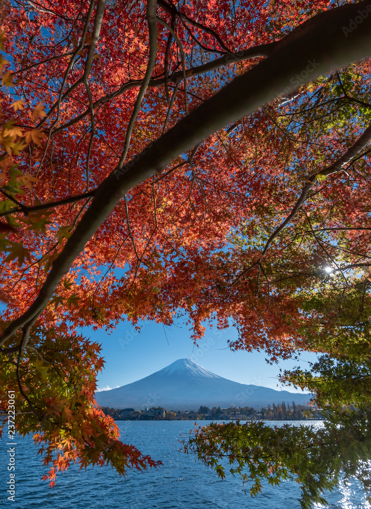 asia,autumn,autumn fuji,autumn japan,autumn tokyo,background,beautiful ...