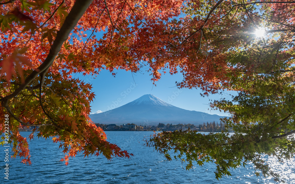 asia,autumn,autumn fuji,autumn japan,autumn tokyo,background,beautiful ...