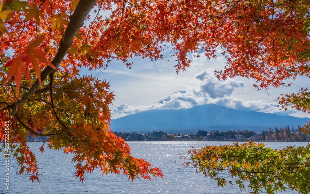 asia,autumn,autumn fuji,autumn japan,autumn tokyo,background,beautiful ...