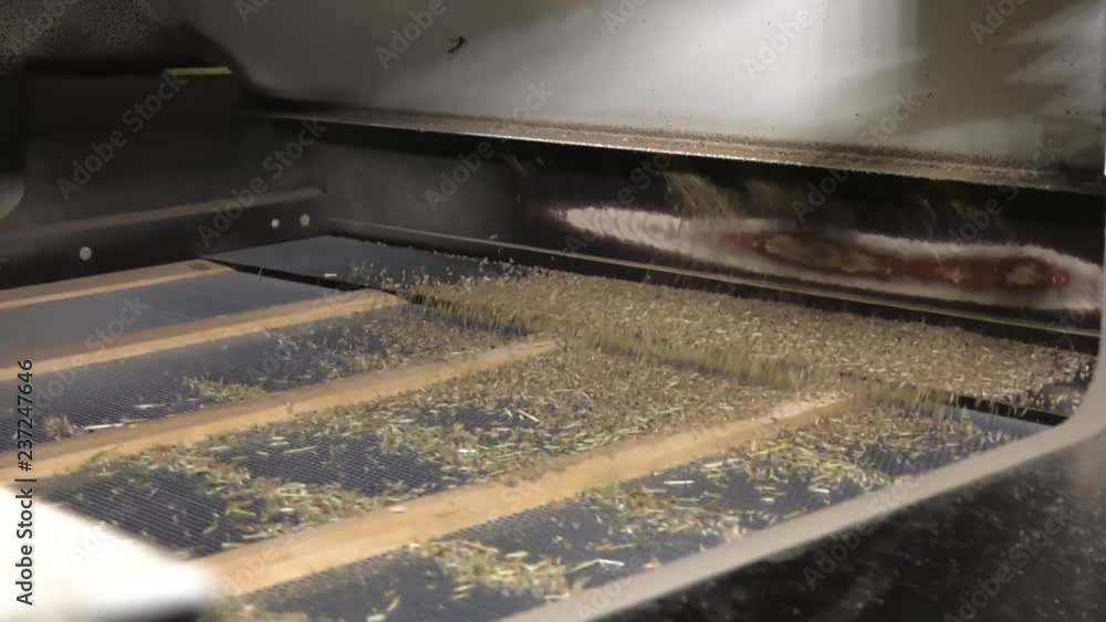 Vidéo Stock Preseeding preparation of seeds: cleaning, sifting. Modern ...