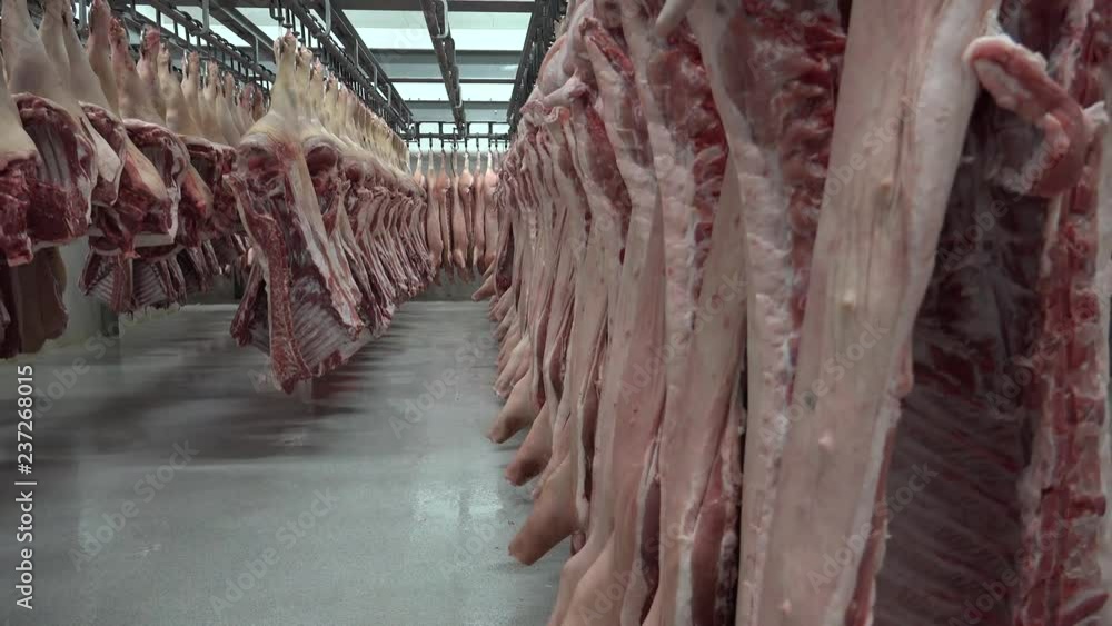 Pork is eaten both freshly cooked and preserved. Curing extends the ...