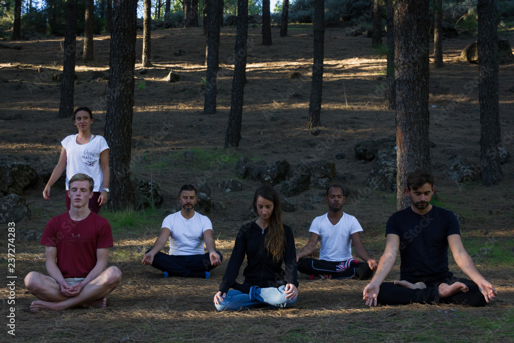 Mindfulness teacher guiding multi ethnic group of students in pine ...