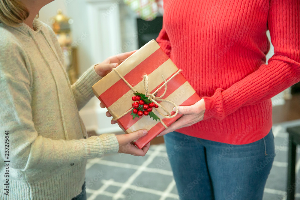 Two Female People Sharing Giving a Christmas Gift Inside Their Home ...