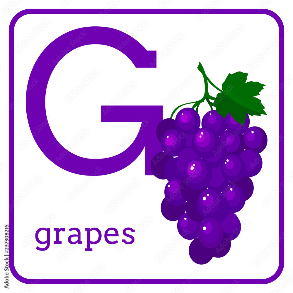 An alphabet with cute fruits, Letter G grapes Stock Vector | Adobe Stock