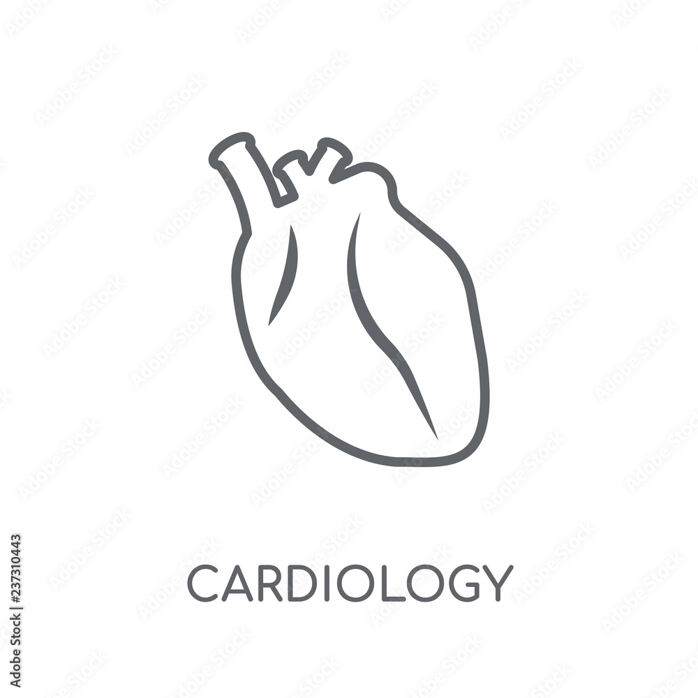 Cardiology linear icon. Modern outline Cardiology logo concept on white ...