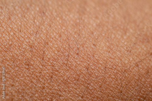 Human Arm Skin Texture
