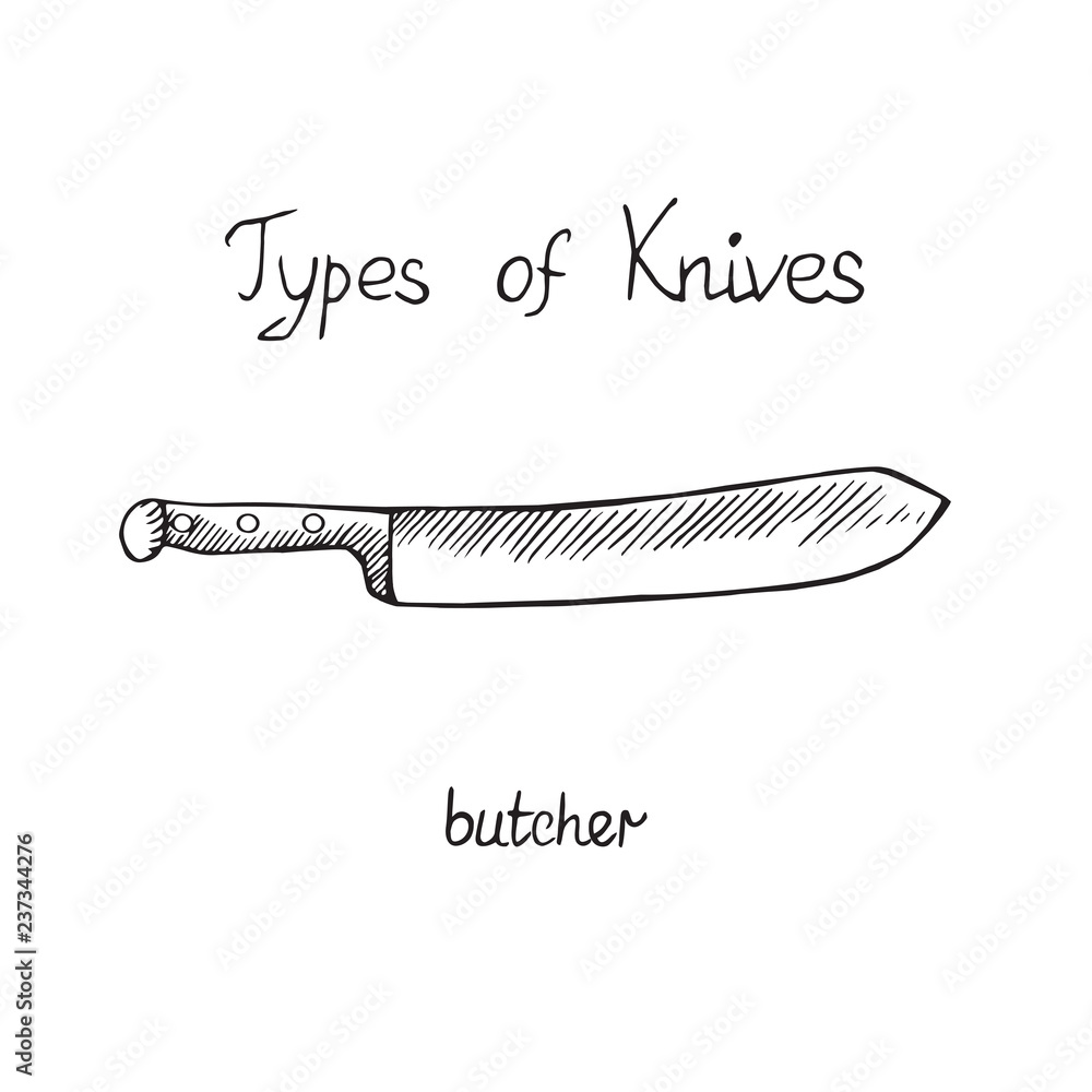 Knife types, butcher, vector outline illustration with inscription ...