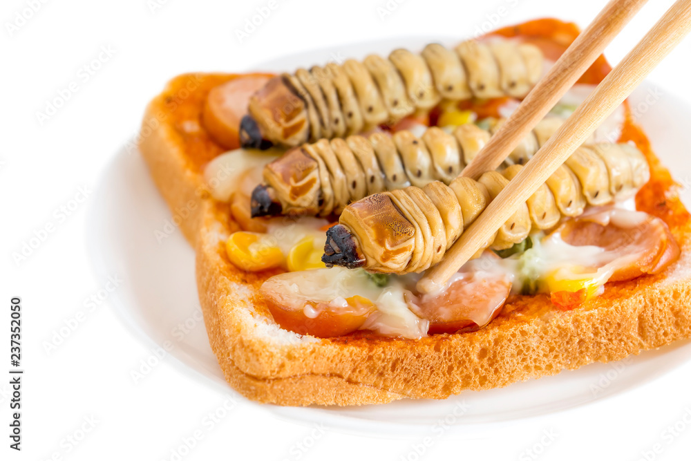Food Insects: Worm beetle for deep-fried insects as food items. Bread ...