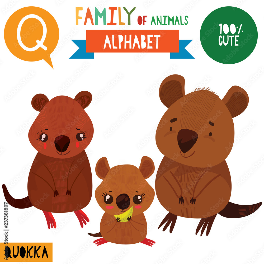 Letter Q-Mega big set.Cute vector alphabet with family of animals in ...