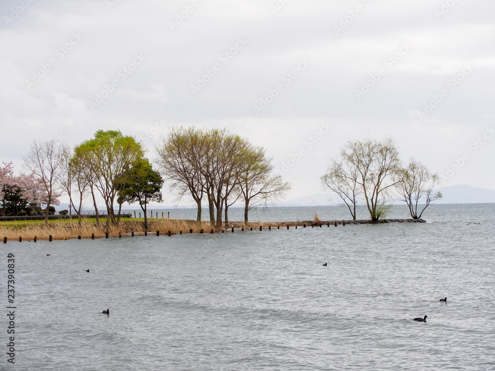 Wide aerial view of trees along the the shorelines of Lake Biwa on a ...
