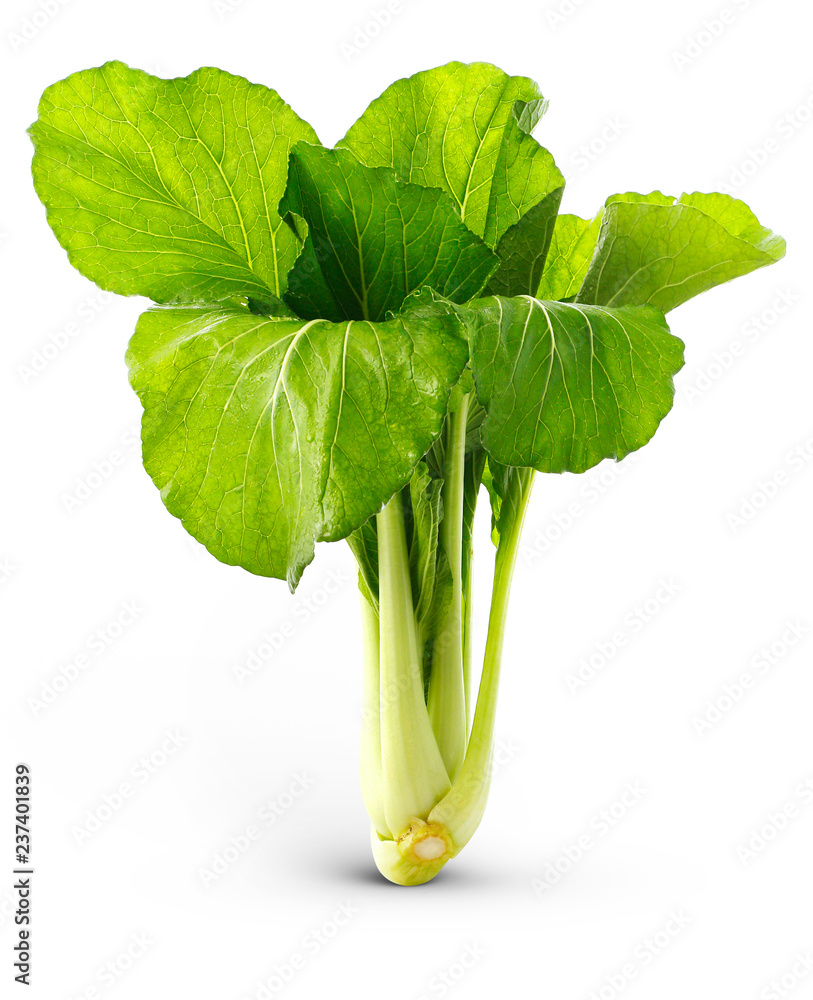 Vegetables edible leaves named '' Brede '' very popular in meal in ...