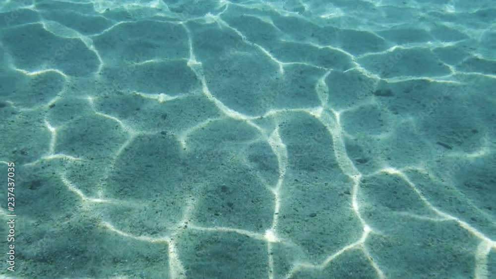 Underwater scenery of a bottom of the sea, with pebble sea bottom and ...