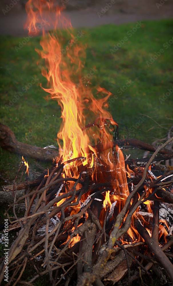 LUMBRE DE FUEGO EN EL CAMPO foto de Stock | Adobe Stock
