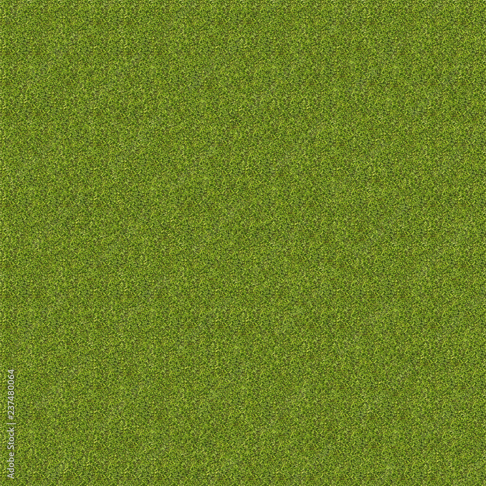 High Resolution Grass Texture Seamless Stock Photo Adobe Stock