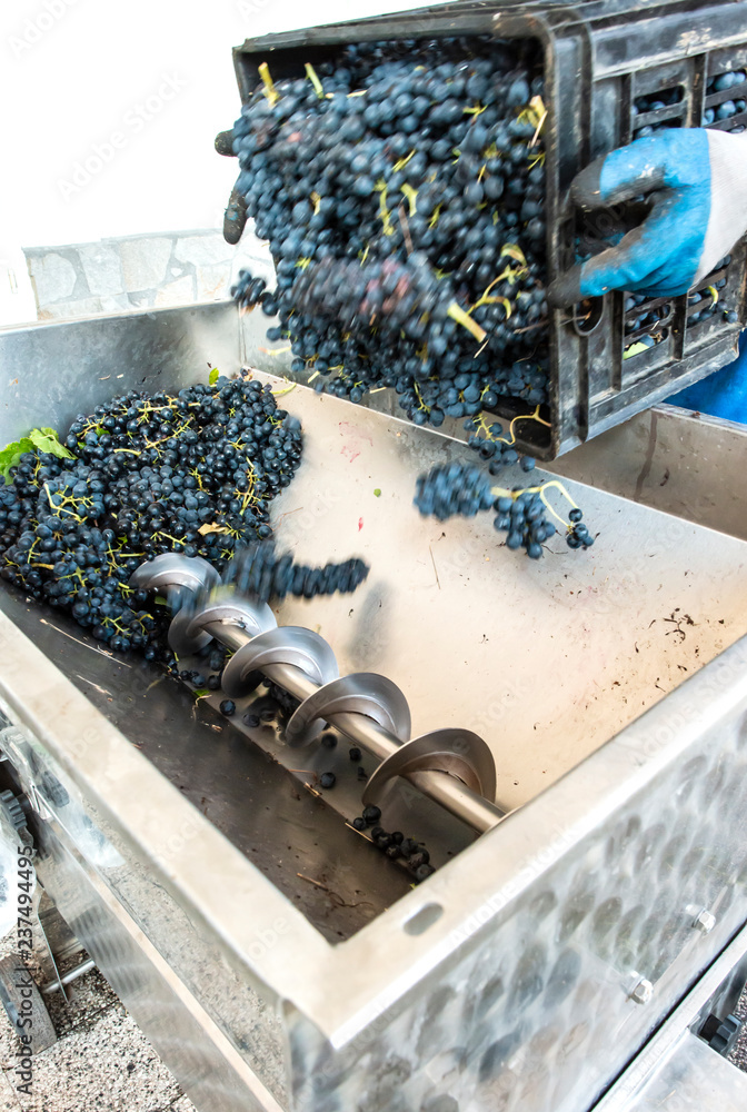 Grape crushing machine Stock Photo | Adobe Stock