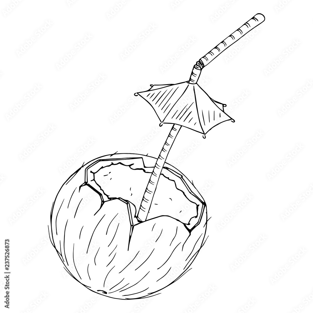 Broken Coconut Drawing