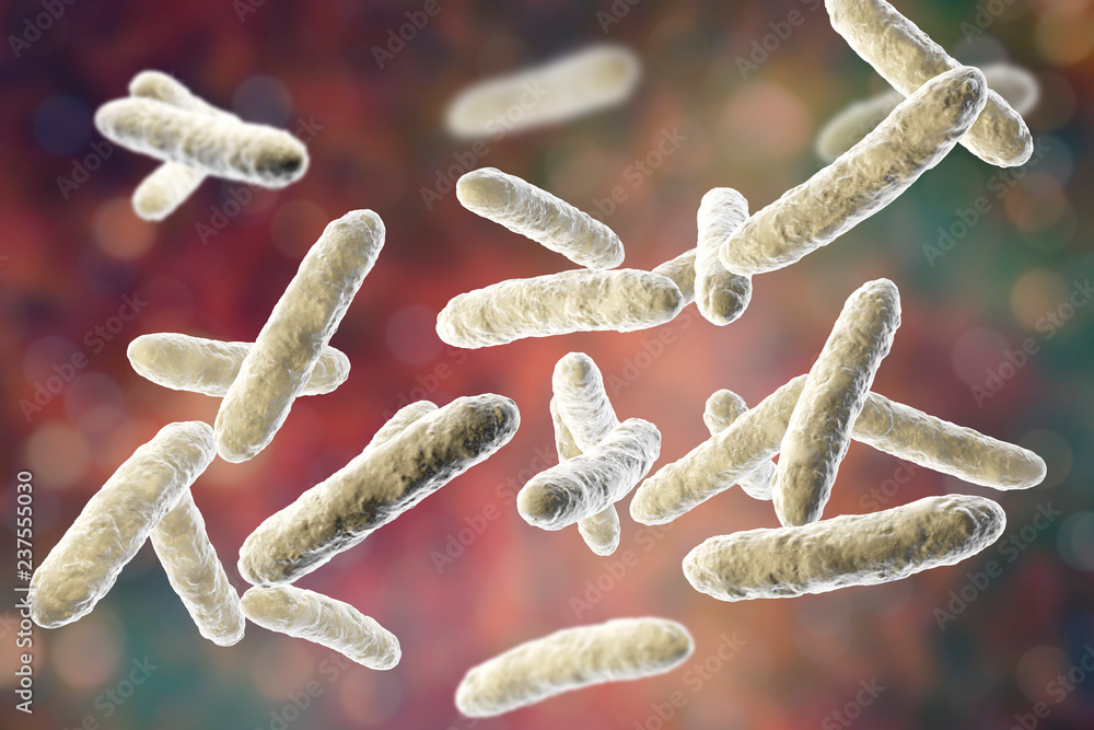 Probiotic bacteria, normal intestinal microflora, 3D illustration ...