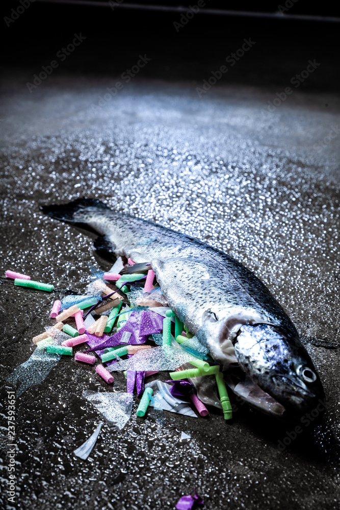 Plastik in Fisch Stock Photo | Adobe Stock