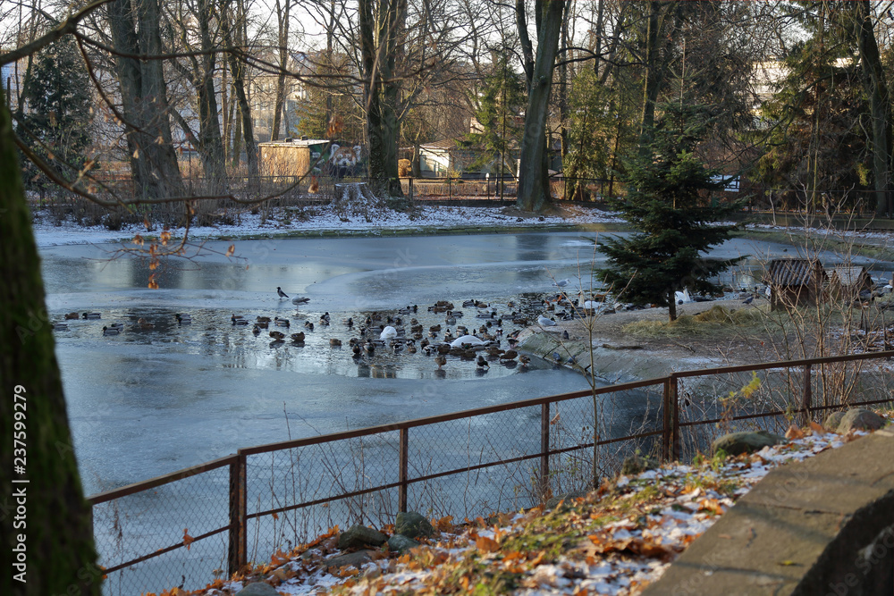 On the territory of the Kaliningrad city zoo. One of the largest and ...
