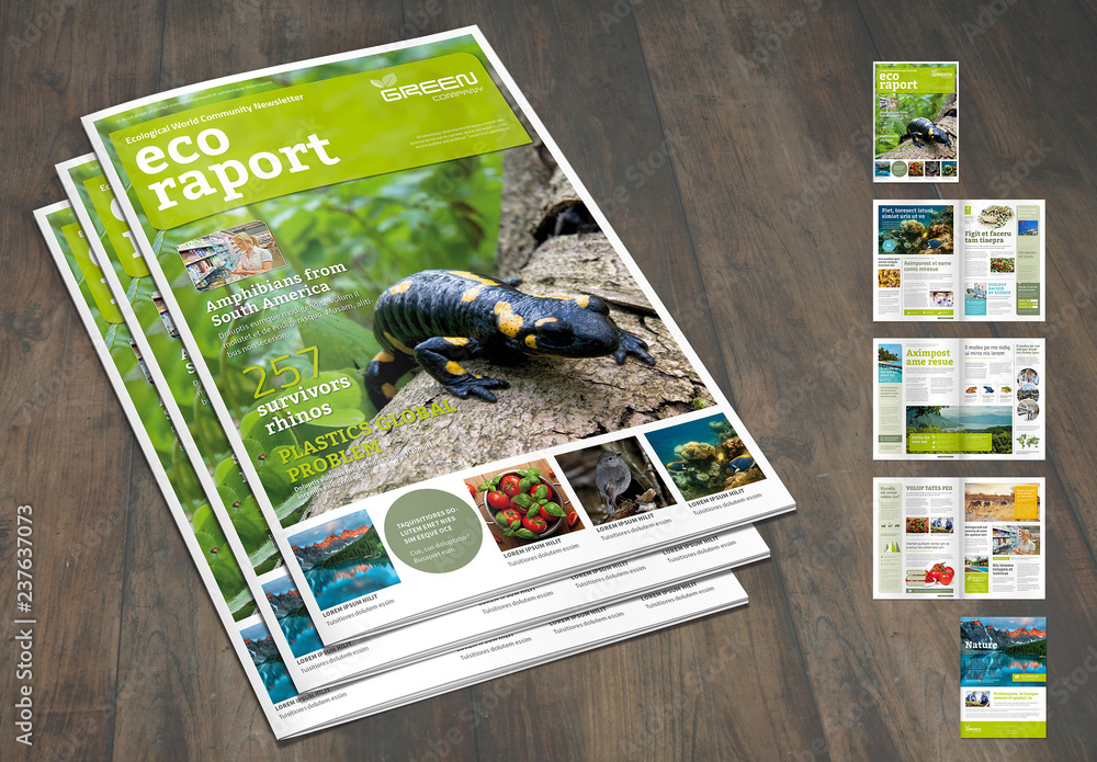 Newsletter Layout with Green Accents Stock Template | Adobe Stock