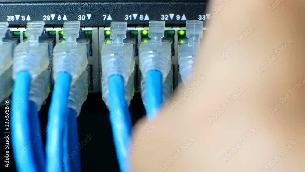 Network Administrator plug in cable on port. LED port status is blink ...