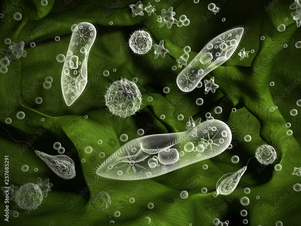 Protozoa, infusoria under a microscope. 3d illustration. Stock ...