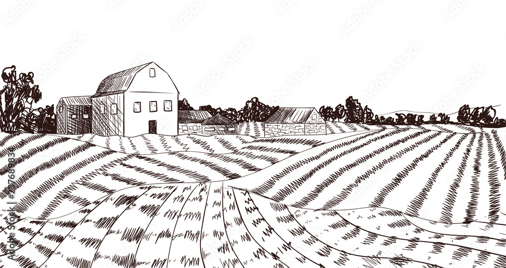 Vector Farm Field Sketch, Engraving Style, Background Template. Stock ...