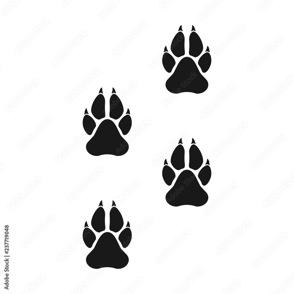 Paw of an animal, canine footprints. Traces of dog paws, dog paws ...