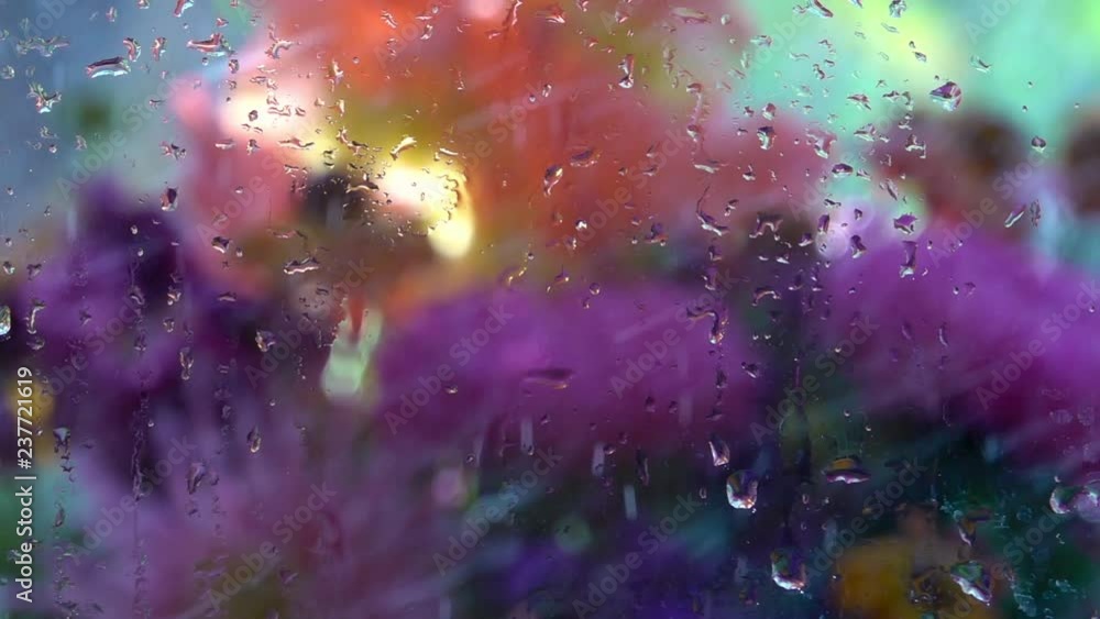 Slow motion of water spraying of colorful defocused summer garden ...