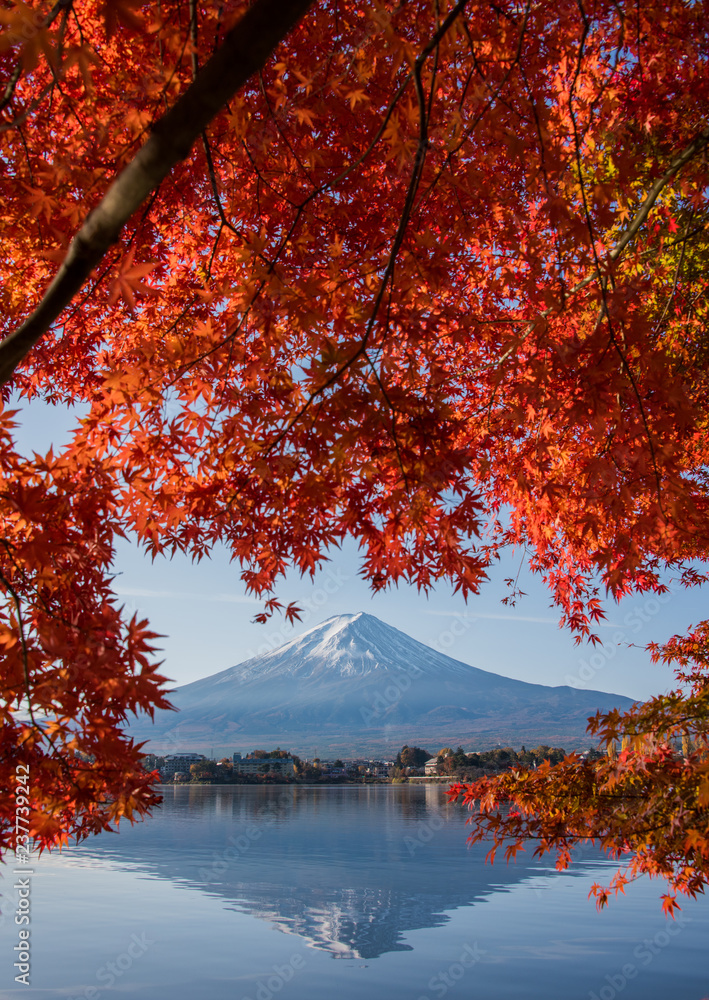 Mount Fuji, Autumn in Mt. Fuji, Japan - Lake Kawaguchiko , Colorful ...