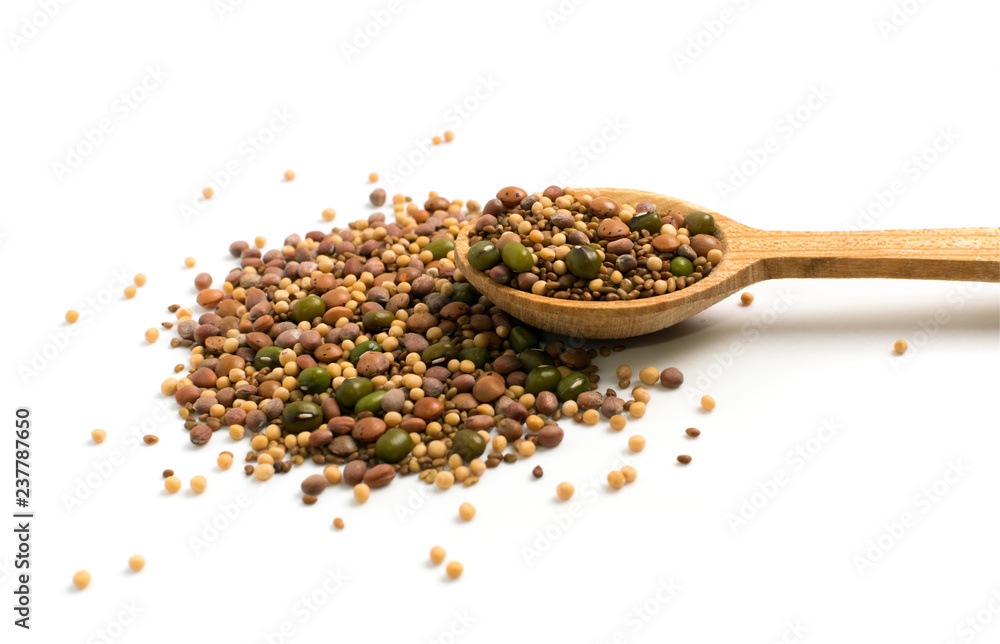 Edible seed mix with dry radish, mustard, lentils, alfalfa seeds Stock ...