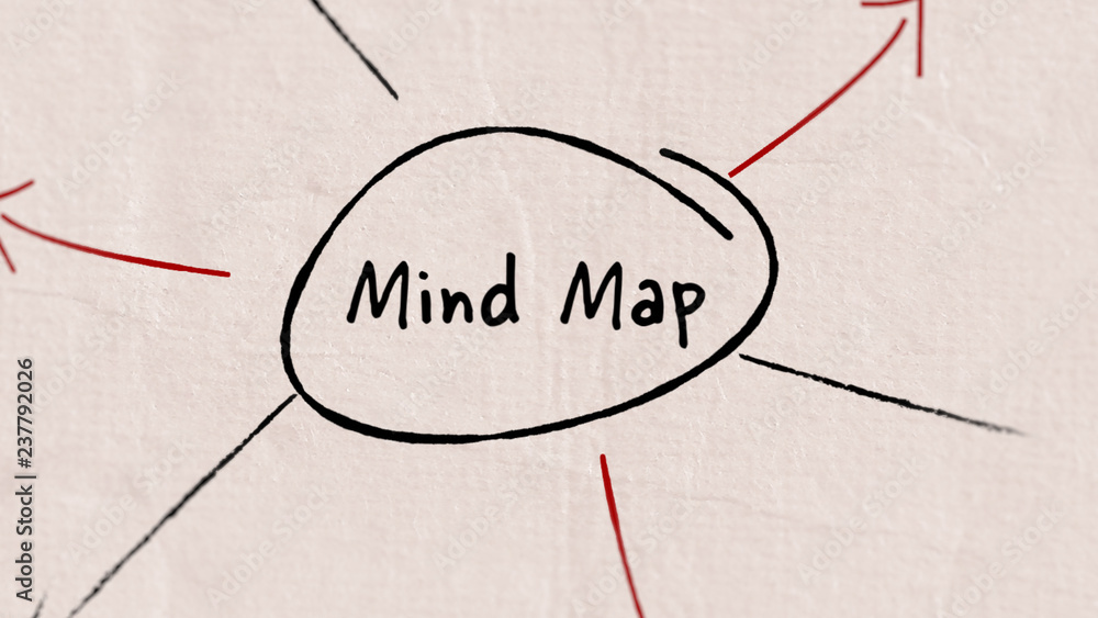 Mind Map Infograph Stock Template | Adobe Stock