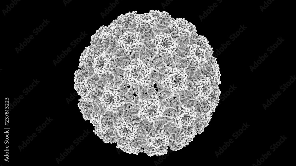 3D CG rendered image of scientifically accurate Human Papilloma Virus ...