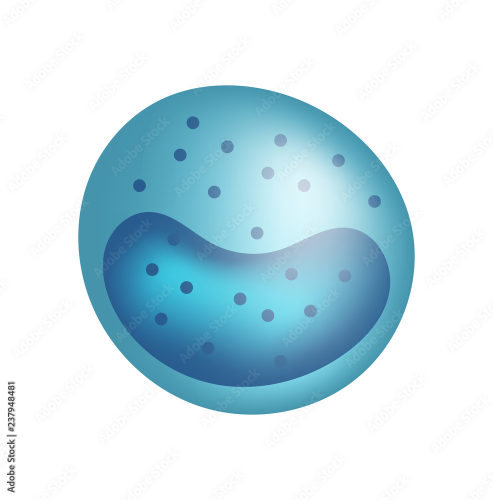 Monocyte. Vector illustration. Blood cell Stock Vector | Adobe Stock