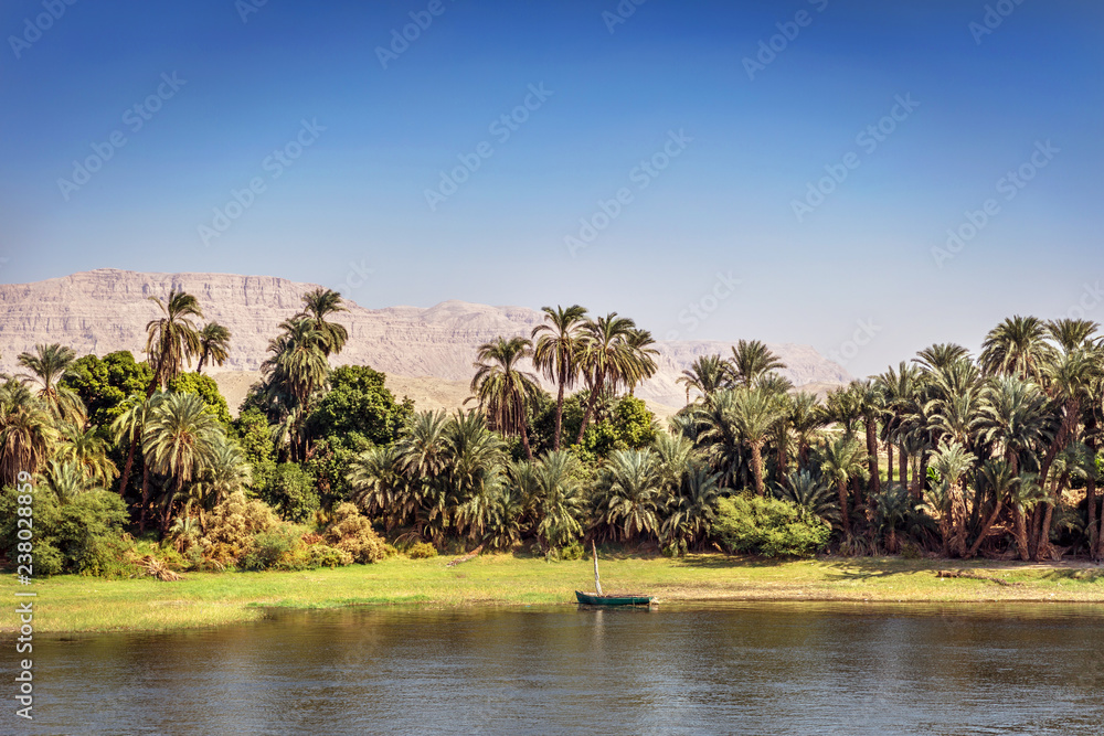 Amazing scenario at the Nile River edge with palm trees, grass and rock ...