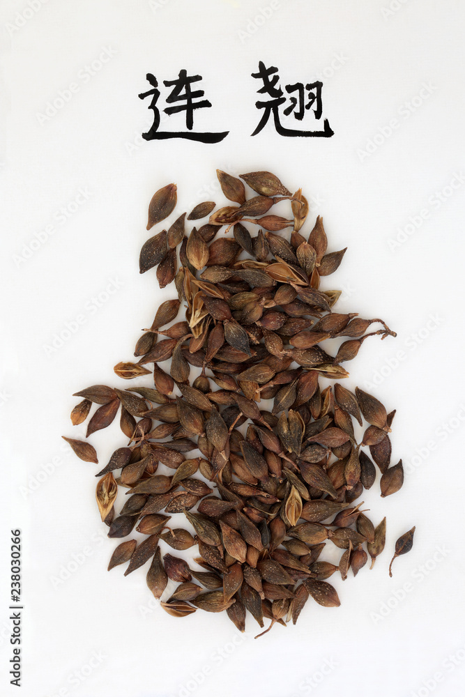 Foto de Weeping forsythia fruit herb used in chinese herbal medicine ...