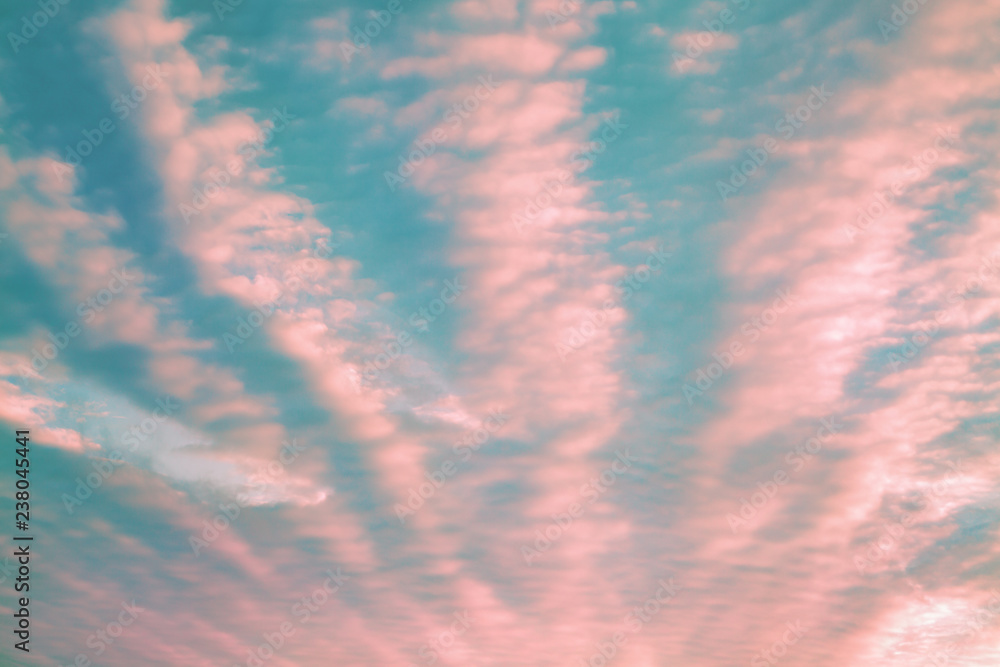 Living Coral color of the Year 2019. Blue sky & coral fluffy clouds ...