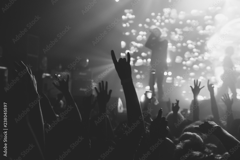 Concert Crowd Hands Black And White