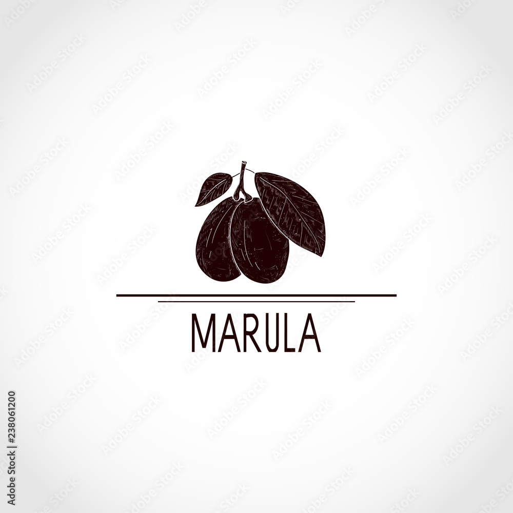 Marula. Fruit. Silhouette. Logo, sign, symbol, emblem. Stock Vector ...