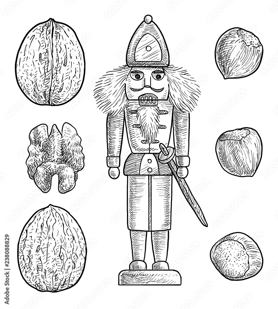 Nutcracker with nut illustration, drawing, engraving, ink, line art ...