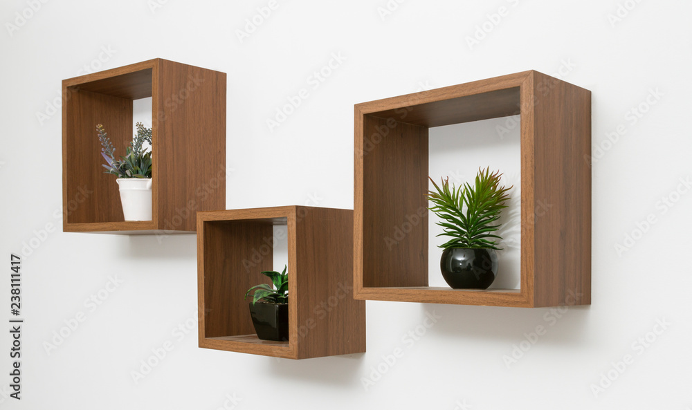 Side view of wooden shelves set on white wall with indoor plants pots ...