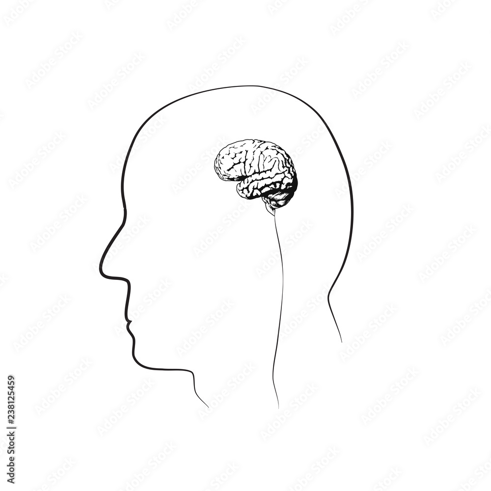 Small, tiny brain. Black lines, white background. Vector illustration ...