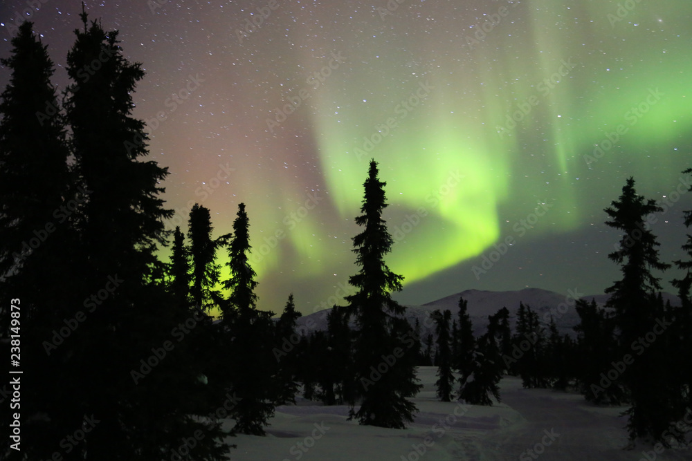 Fairbanks, Alaska, the northern light, beautiful and amazing aurora in ...